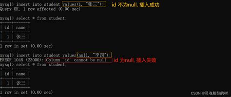 【mysql】五种约束类型 主键和外键的使用方式重点mysql Primary Key怎么使用 Csdn博客