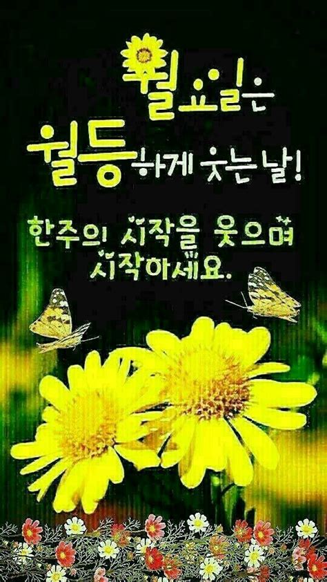 월요일은 월등하게 웃는 날~ 웃긴 밈 아침 인사 좋은 말