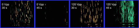 A Separation Of 3 And 6 µm Polystyrene Particles Fluorescence