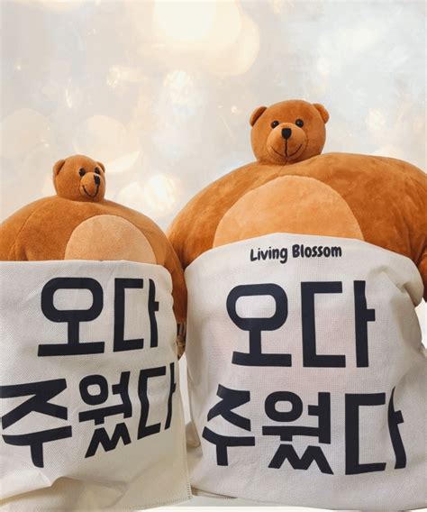 소두곰 인형 곰동석 어깨깡패 남친닮은인형 머리작은인형 애착인형 헬스곰돌이 선물 쿠션 에이블리