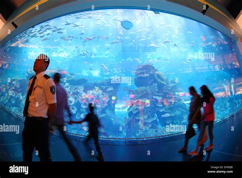 Die Innenstadt Von Dubai Dubai Mall Aquarium Unterwasser Zoo Dubai
