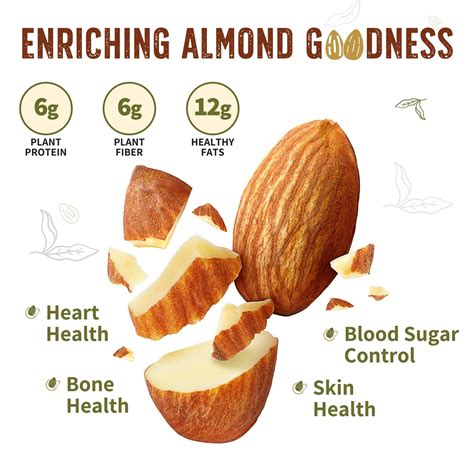 25 Lb Usda Organic Raw Almonds First Regenerative