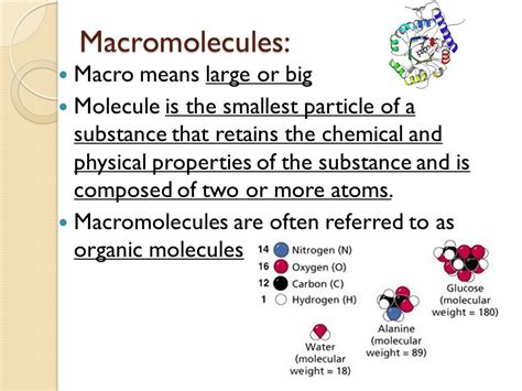Polymers And Monomers Of Macromolecules