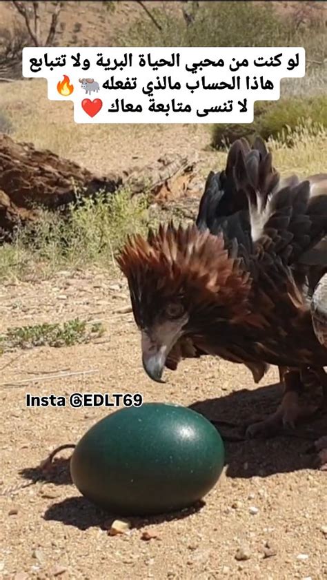معلومات عن نيسان جي تي ار ، تُحدت نيسان كل المعايير المألوفة بتطويرها
