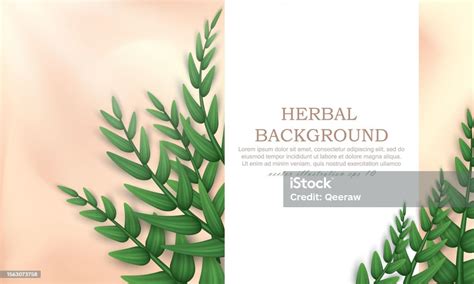 녹색 잎이 있는 사실적인 나뭇가지가 있는 베이지색 웹 배너 0명에 대한 스톡 벡터 아트 및 기타 이미지 0명 3차원 형태 건강관리와 의술 Istock