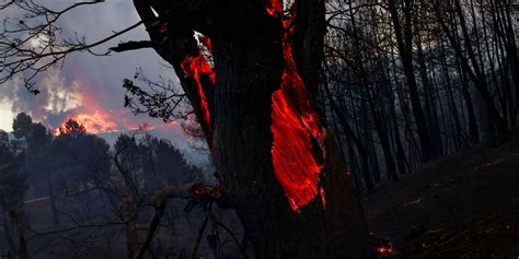 Climat Les Huit Derni Res Ann Es Sont Les Plus Chaudes Jamais Enregistr Es
