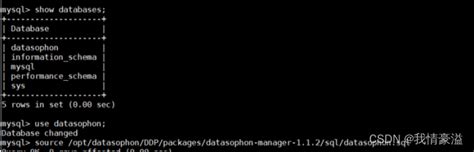 最新datasophon1 1 2保姆级安装 csdn博客
