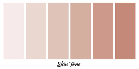 Human Skin Tone Color Palette Set Isolated On White Background