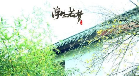 浮生若夢為歡幾何 每日頭條