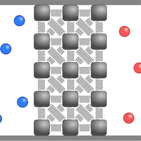 Schematic Illustration Of Our Model The Solid Particles Are Connected Download Scientific