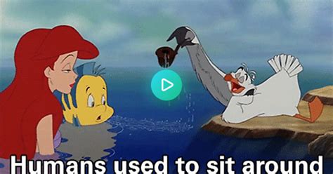 What Was Life Like Before Imgur  On Imgur