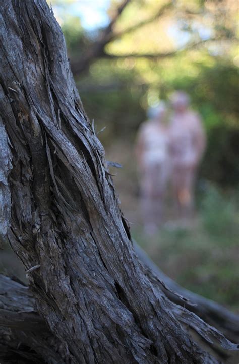 Trees Nature Couple Selective Free Photo On Pixabay Pixabay