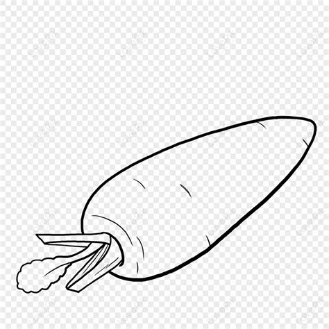 만화 당근 일러스트 흑백 클립 아트농작물야채 Png 일러스트 무료 다운로드 Lovepik
