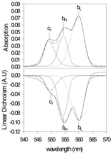 Absorption And Ld Spectra Of Purified Cytochrome Bc 1 Complex From Rs