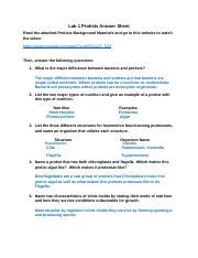 Lab Protists Questions Docx Lab Protists Answer Sheet Read The Attached Protists