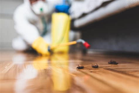 When Should You Call An Exterminator Aandm Pest Control