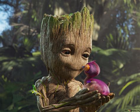 Groot With Cute Bird In Hand 4k Wallpaper Download