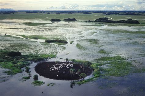 Anael Pescador Plano De Adaptação às Mudanças Climáticas Recebe