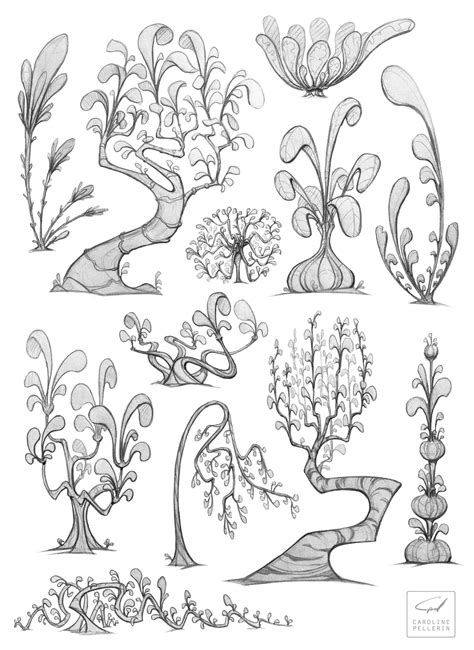 Best 13 This Set Of Tree Cad Blocks Includes Yew Tree Cad Blocks Monterey Cyprus Cad Blocks