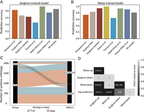 Cross Species Predictive Modeling Reveals Conserved Drought Responses Between Maize And Sorghum