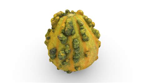 Bumpy Gourd Deep3dsea