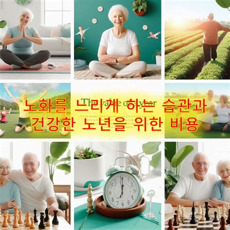 노화를 느리게 하는 습관과 건강한 노년을 위한 비용