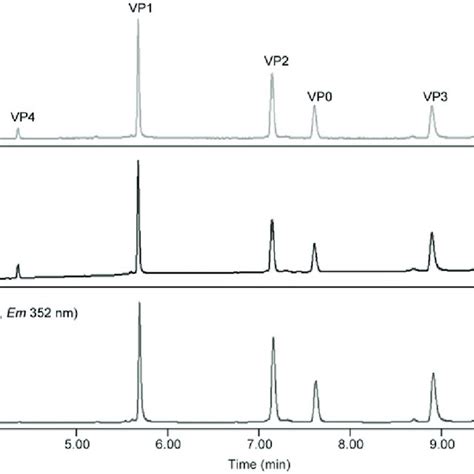 Virus Sample Dilutional Linearity Curve Download Scientific Diagram