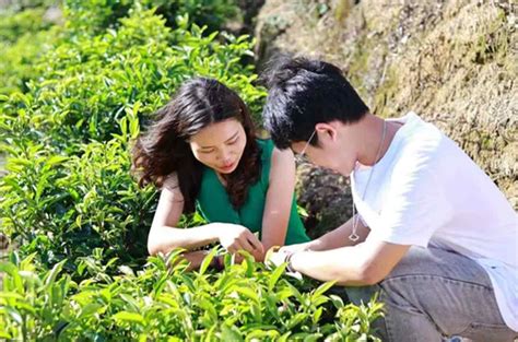 佛科院畲香茶韵实践队茶韵香千年以茶促发展 社会实践网