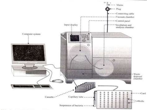 Automated Microbial Identification System
