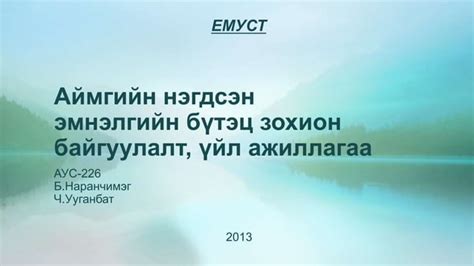 аймгийн нэгдсэн эмнэлгийн бүтэц зохион байгуулалт үйл ажиллагаа