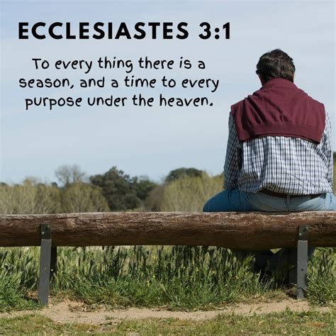 Gods Perfect Timing A Reflection On Ecclesiastes 3 Biblical Life