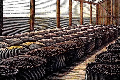 Batch Normalization Avrtt Blog