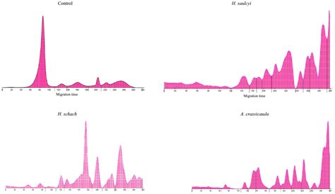 Concentration Of Protein In The Venom Of H Schach H Saulcyi And A