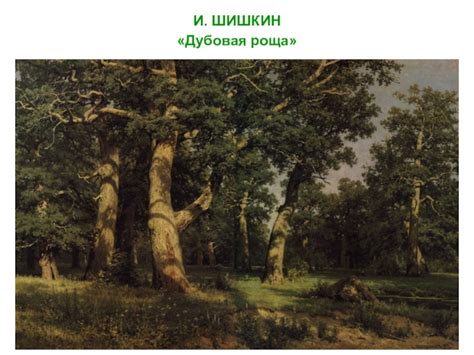 ДЕРЕВЬЯ-ВЕЛИКАНЫ презентация, доклад, проект