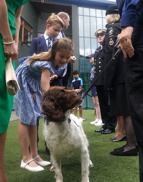 Princess Charlottes Wimbledon Dress Has Hidden Message According To