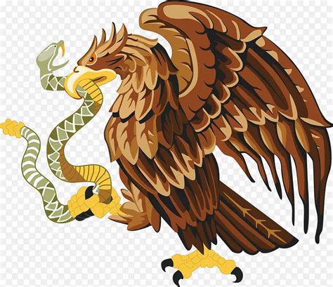 矢量老鹰PNG图片素材下载 图片编号9265717 PNG素材网