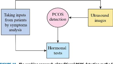 Figure 13 From A Review On The Detection Techniques Of Polycystic Ovary