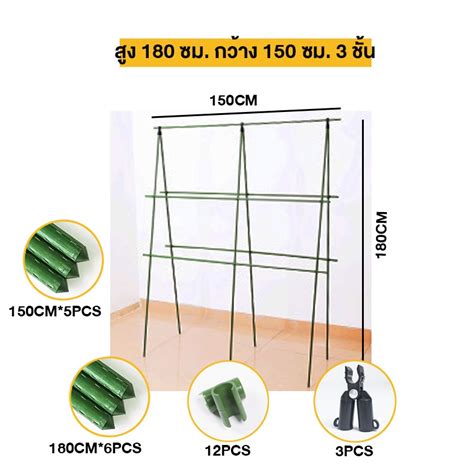 ม้ค้ำต้นไม้ โครงปลูกผัก ซุ้มไม้เลื้อย ยาว 90 150 ซม หนา 11 มม Diy ไม้ค้ำยันต้นไม้ ค้างต้นไม้