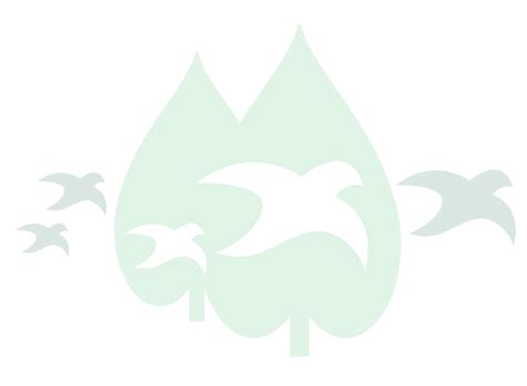 Ceo歡迎辭 Green Council 環保促進會