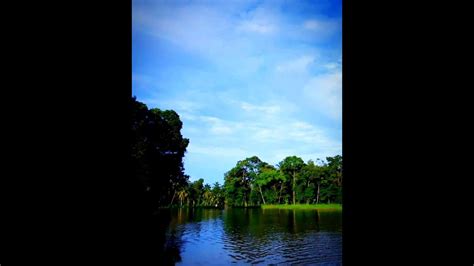 ආස හිතෙන පරිසරය ️😍🔥 Youtube