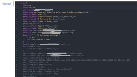 用1panel做反代入口加上证书后静态文件无法访问 报 Err2protocolerror 1panel 社区论坛 Fit2cloud 飞致云