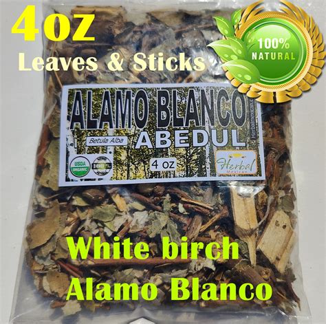 Abedul Blanco Semillas De Abedul Blanco árbol Ornamental Abedul