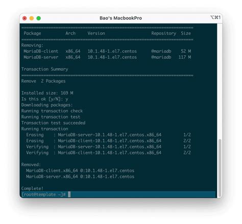 Upgrade The MariaDB Version On CentOS Web Panel With 3 Steps