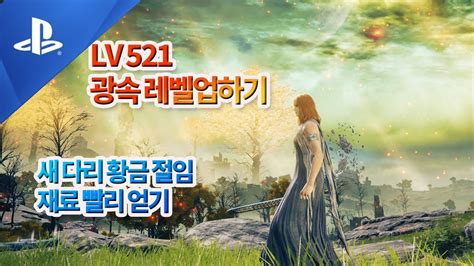엘든링 엘든 링 빠른 레벨업 하기 룬 노가다 새 다리 황금 절임 재료 모으기 YouTube