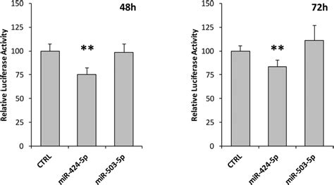 Alk 3 Utr Luciferase Assay Firefly And Renilla Luciferase Activities Download Scientific