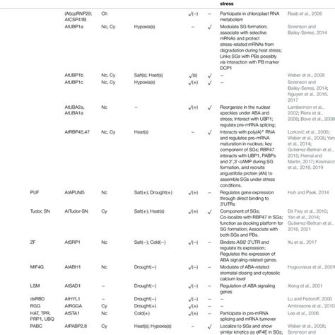 Plant Rbps Involved In Abiotic Stress Response And Sg Formation