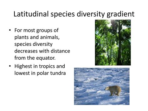 Ppt Latitudinal Species Diversity Gradients Powerpoint Presentation