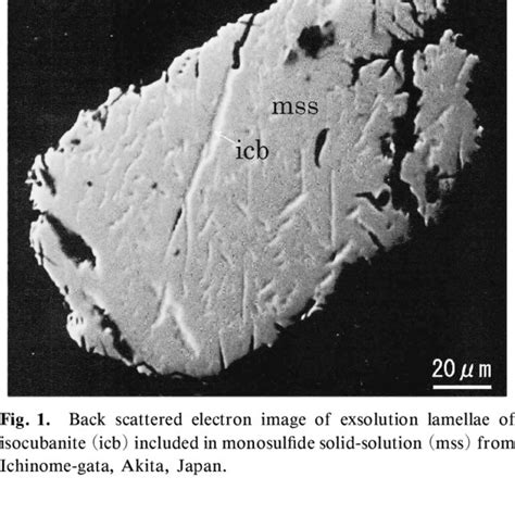 Pdf Monosulfide Solid Solutionmss In Lherzolite Xenolith From Ichinome Gata Akita