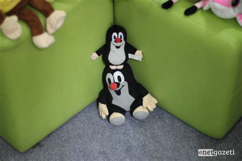 კერძო ბაღები ზაფხულში მუშაობის უფლებას ითხოვენ რა პასუხი აქვს სახელმწიფოს Netgazeti