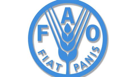 فاو تراجع أسعار الغذاء العالمية في سبتمبر وارتفاع توقعات إنتاج الحبوب لعام 2025